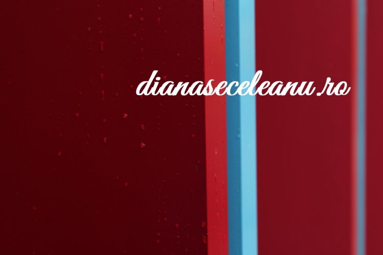 Diana Seceleanu PR aniversează 10 ani în comunicare. Bornele