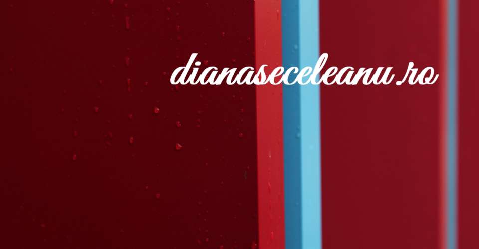 Diana Seceleanu PR aniversează 10 ani în comunicare. Bornele